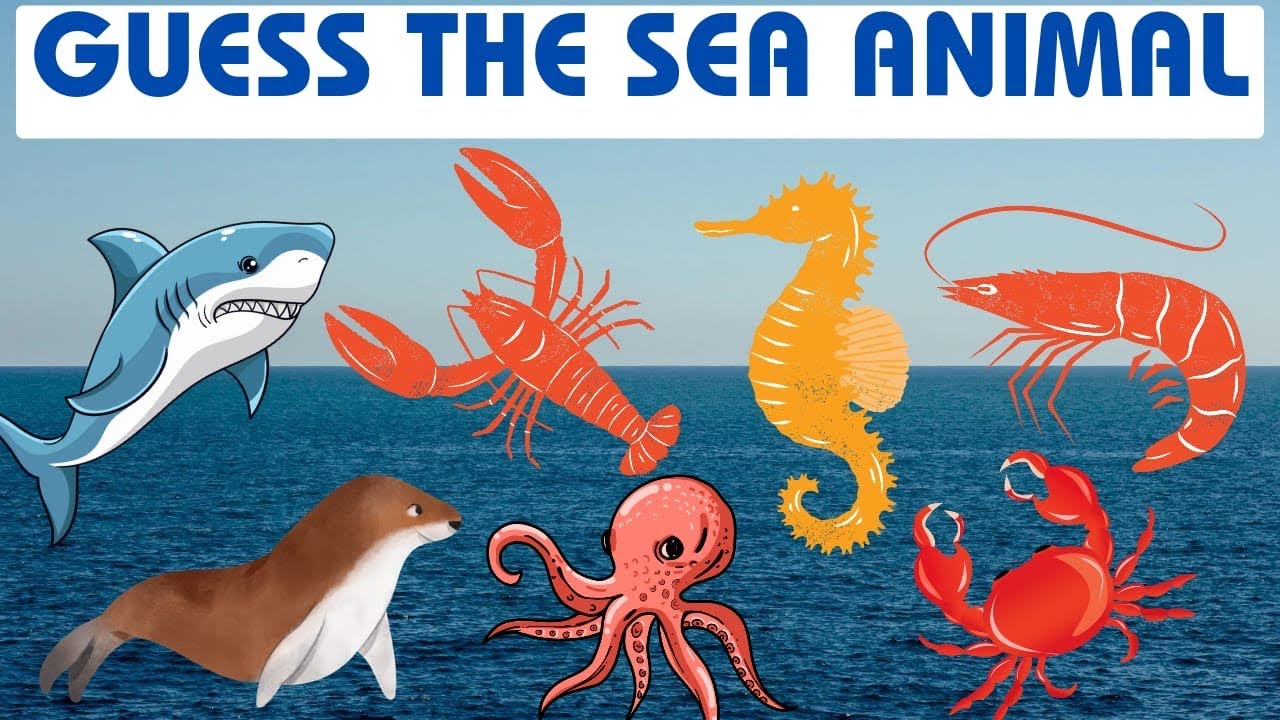 Guess the Sea Animal | Sea Animal Guessing Quiz#gkquiz - YouTube