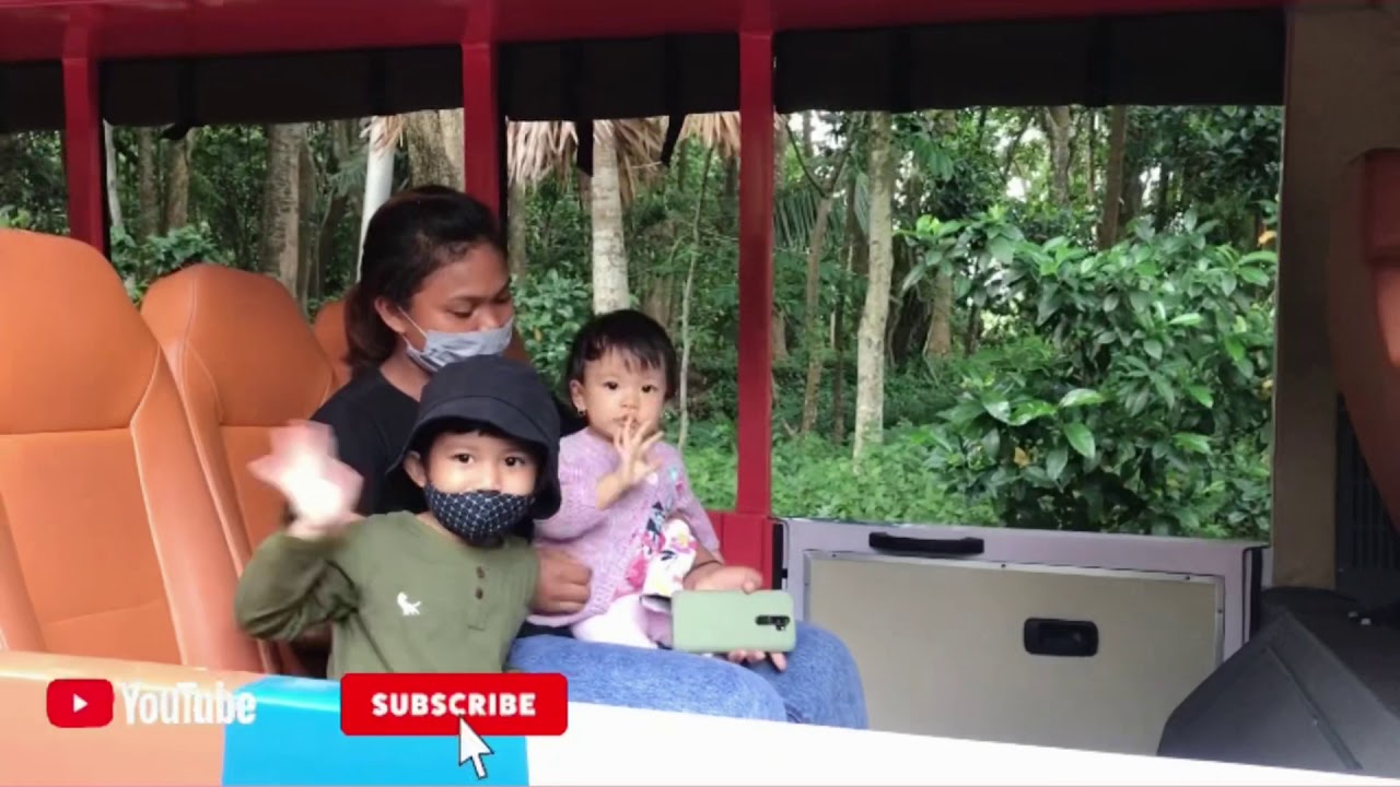 Shuttle Bus Monkey Forest UBUD BALI - YouTube