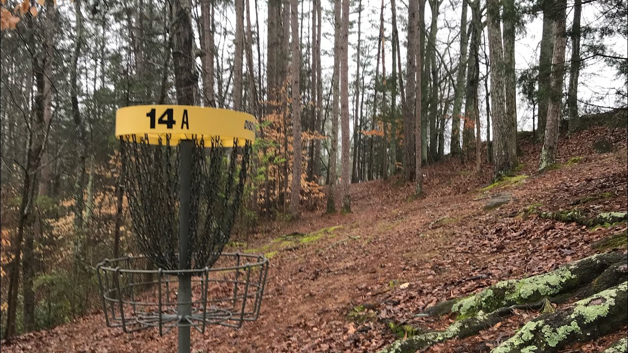Disc golf in Northern GA Rose Lane Discmania S-Line Wild Discs Team ...