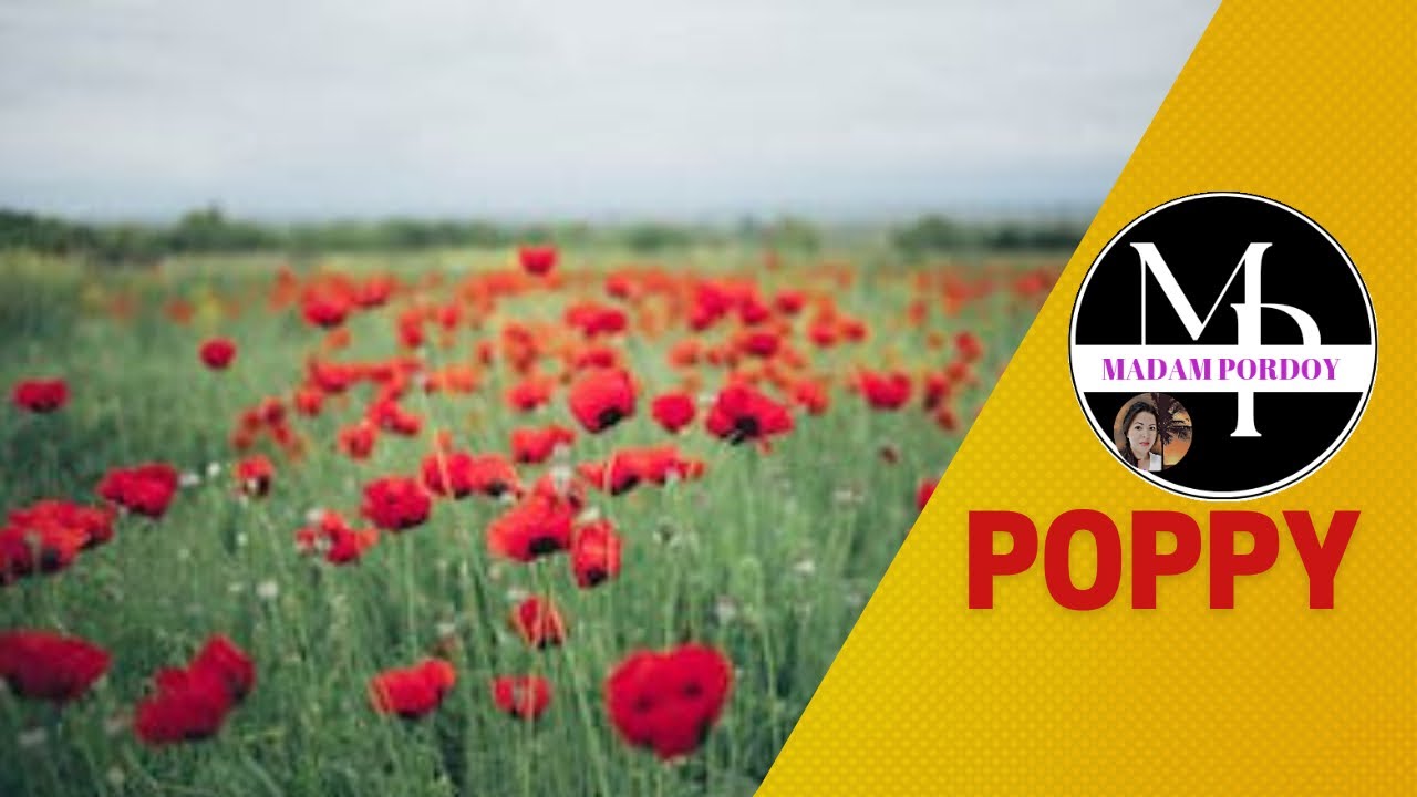 POPPY - YouTube
