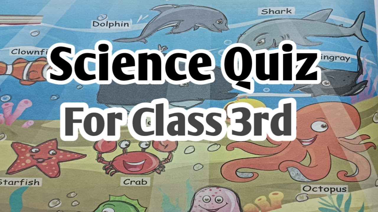 Science Quiz For Class 3rd General Knowledge Quiz Grade 3 Science science-quiz-for-class-3rd-general-knowledge-quiz-grade-3-science