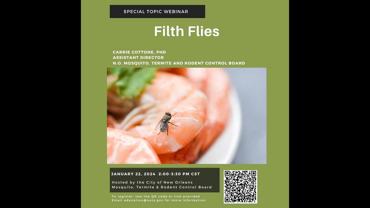 Special Topic Webinar-Filth Flies - YouTube
