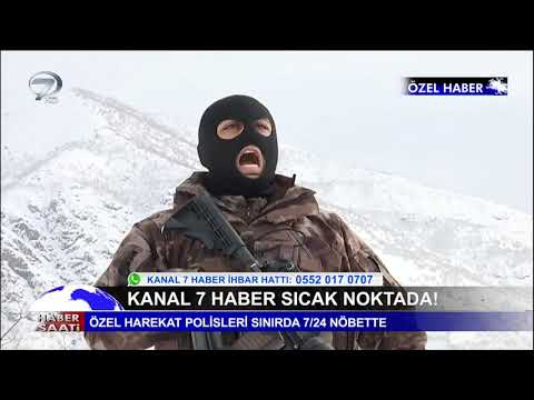 Benim Bozkurt Yurdumda Çakalların İşi Ne?