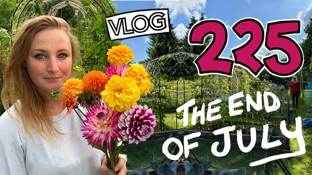 July in the Garden... and Summer has only just arrived!! Ep 225 || Plot 37 - YouTube