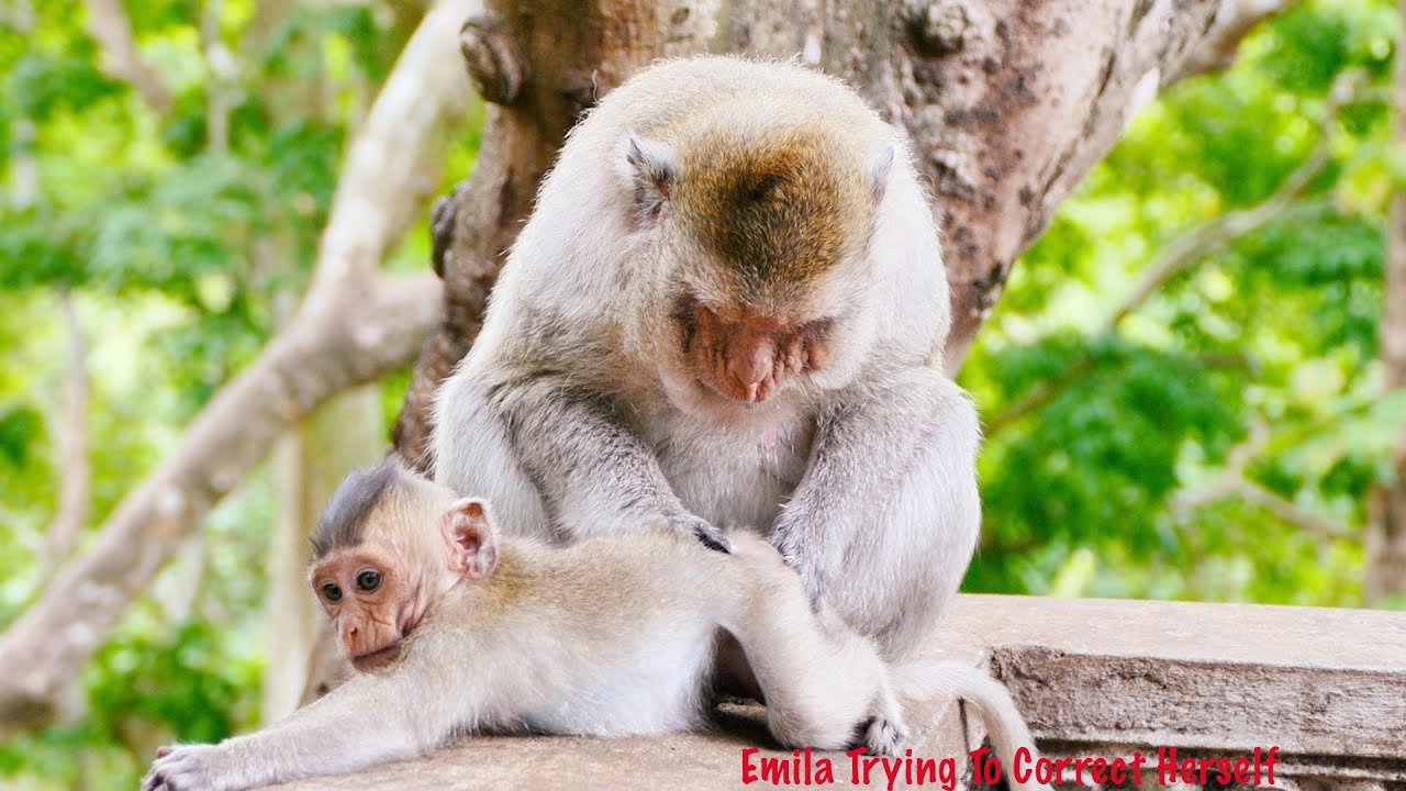 Since Ally & Albert Gone, Emila Has Changed Her Meanest Behavior To The ...