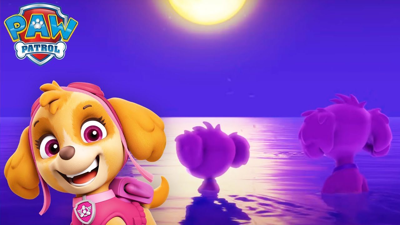 Merpups! 🧜‍♀️ - PAW Patrol Episode - Cartoons for Kids - YouTube