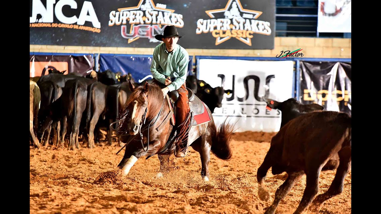 Super Stakes Classic Ugly Pepto ANCA 2025 - Reservado Campeão Non Pro ...