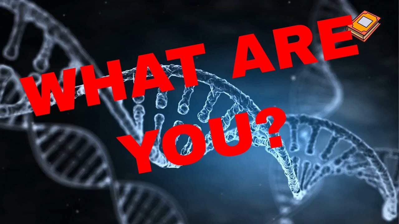 The History of DNA! What Is DNA? Who Discovered DNA? EVERYTHING YOU ...