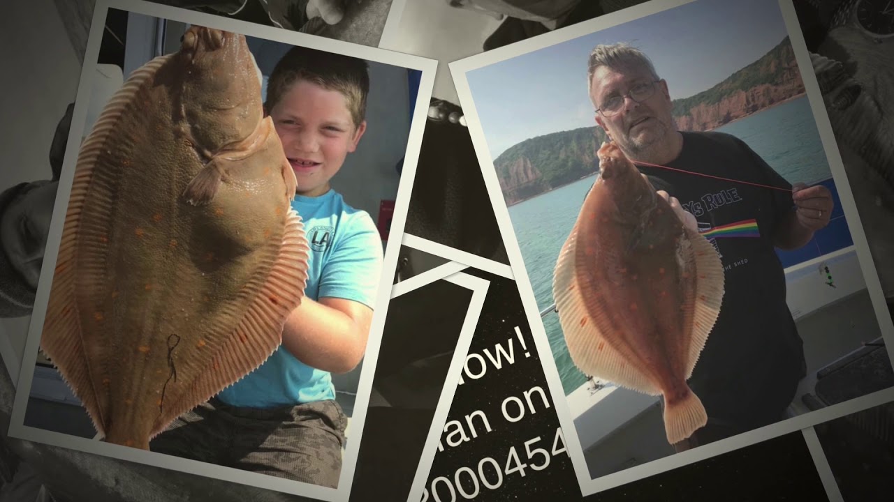 Shande 3 Best of 2019 - YouTube