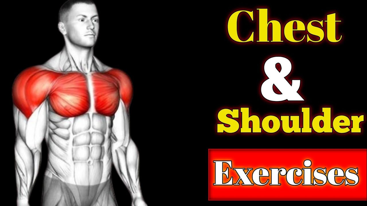 The Best Chest & Shoulder Exercises (for Growth!) - YouTube