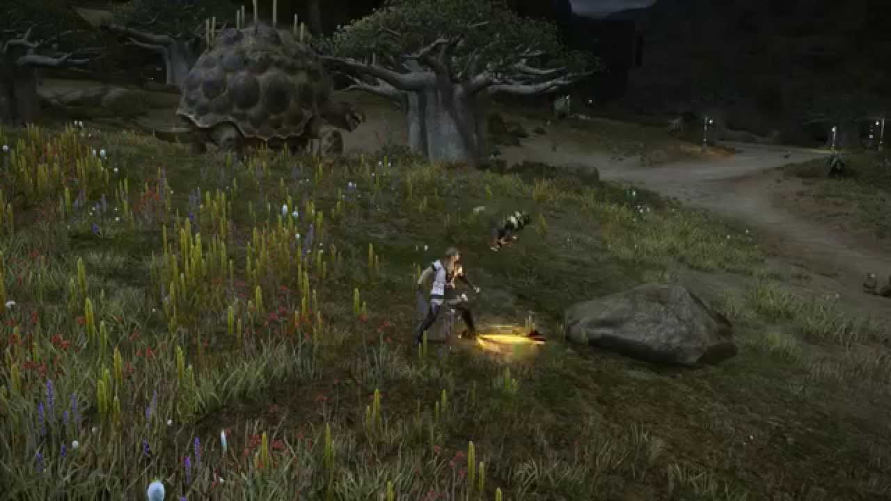 Final Fantasy XIV Male Hyur Midlander Voice 6 - YouTube