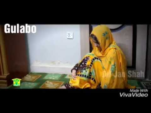 New Balochi Status Nizam Shaida