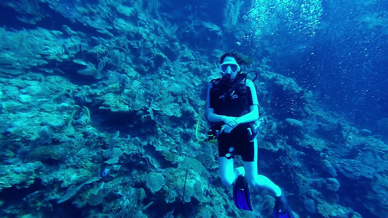 Puerto Rico Scuba 2017 Dive 1 - YouTube