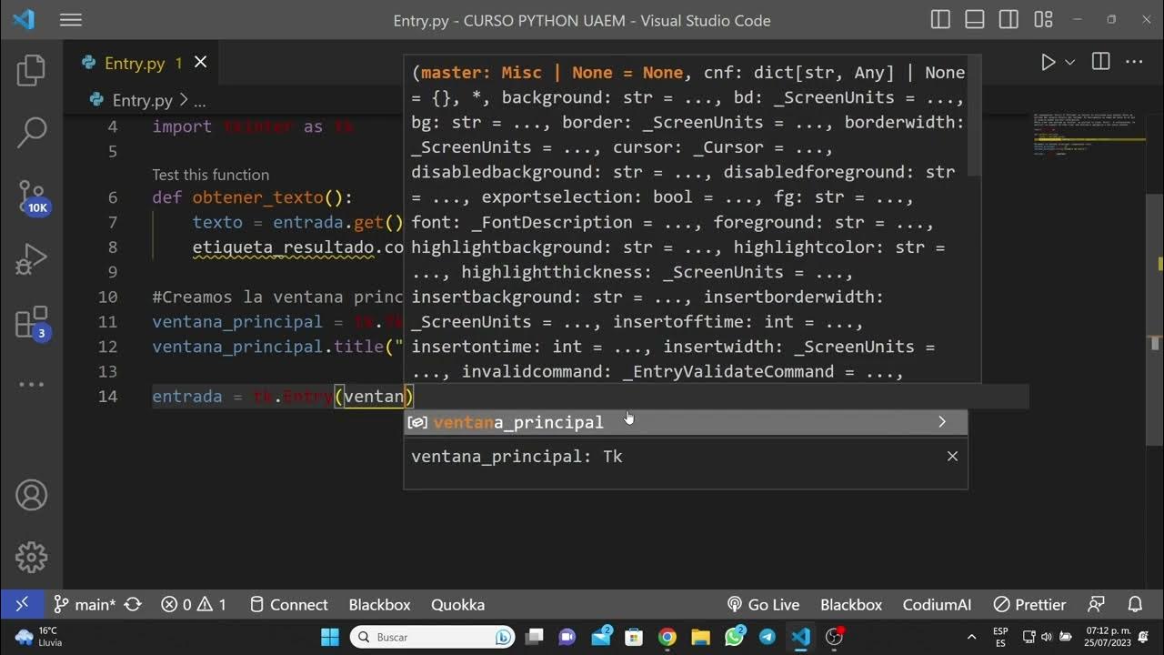 Uso de la Entrada Entry en tkinter Obtener Datos de Entrada del Usuario - YouTube