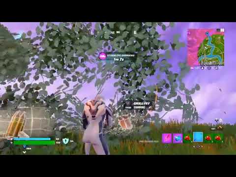 FORTLITE