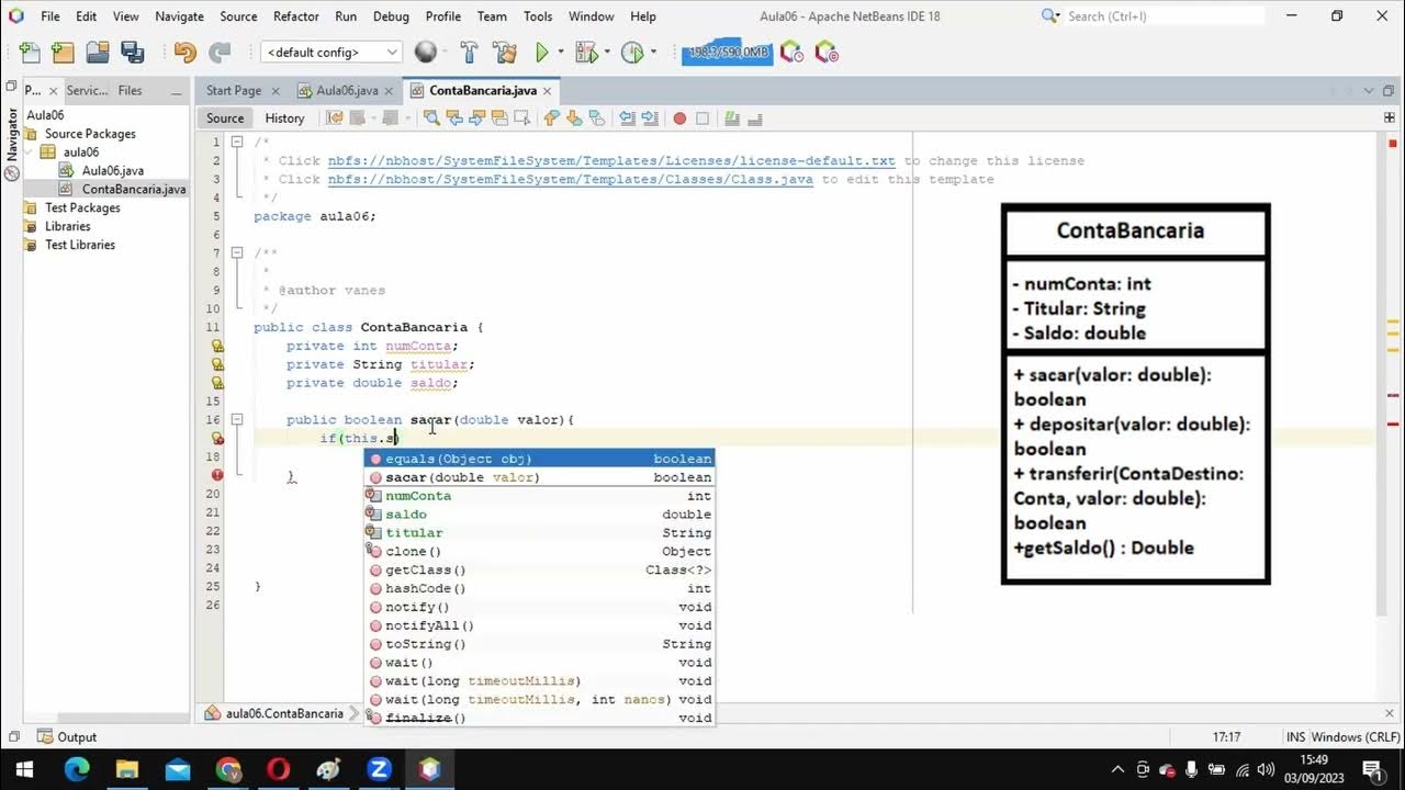 PetAcademy: 06 Exercício de Encapsulamento - Programação Orientada a ...