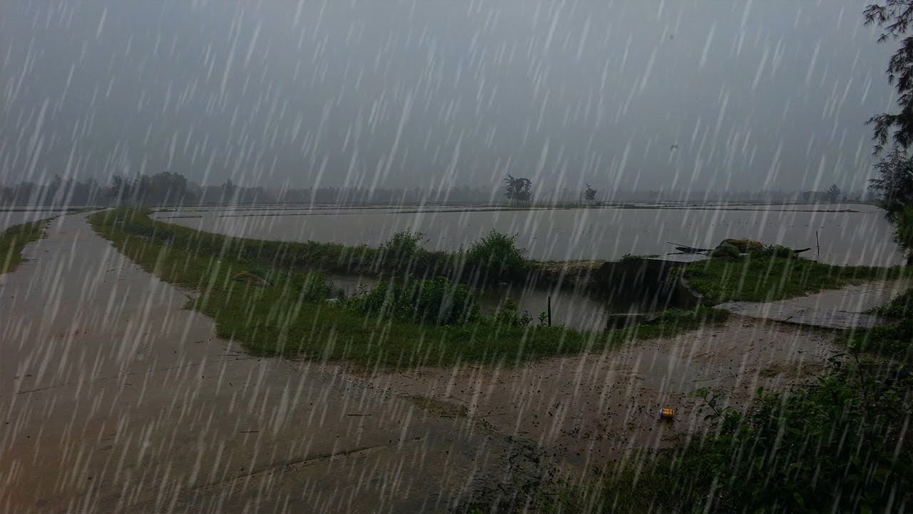 4K Walking in the rain around on Vietnam village - Heavy Rain for Relax ...