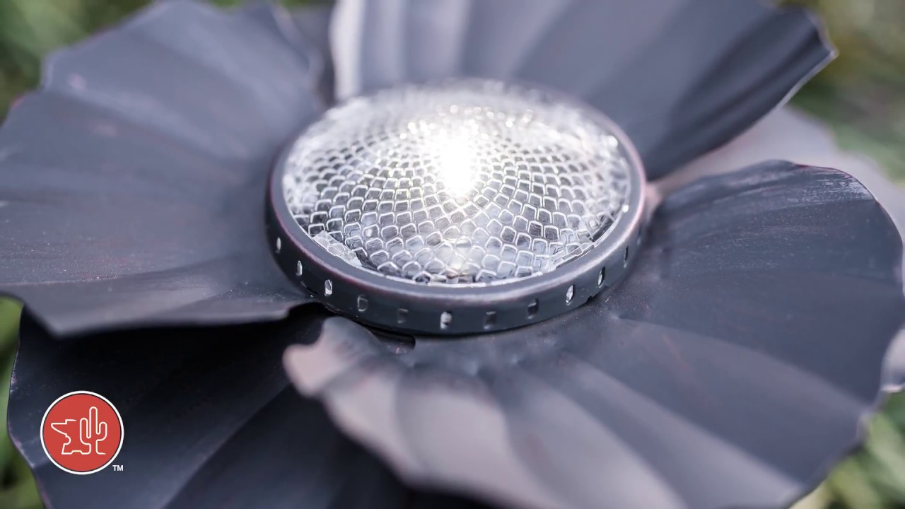 Daisy & Poppy Solar Lights - YouTube
