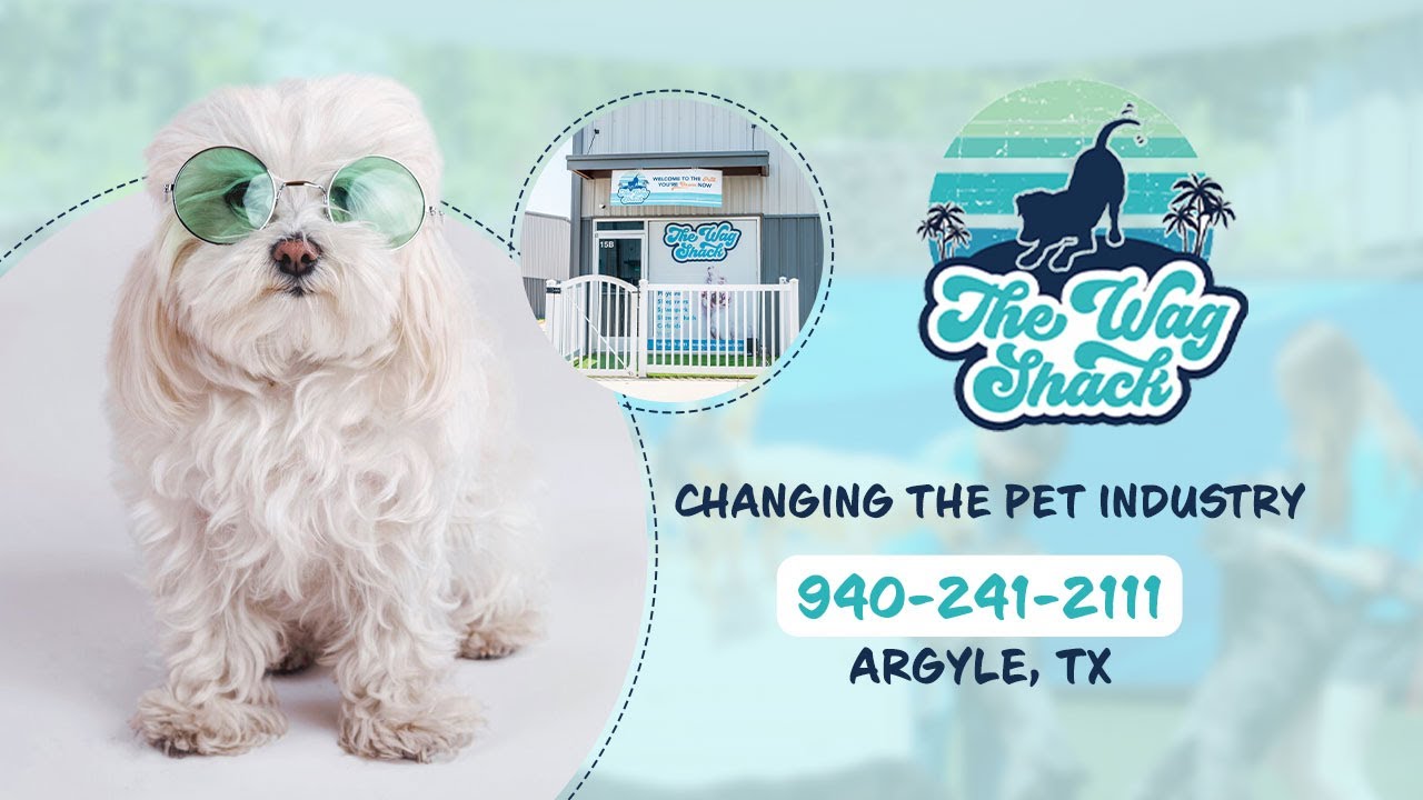 The Wag Shack - YouTube