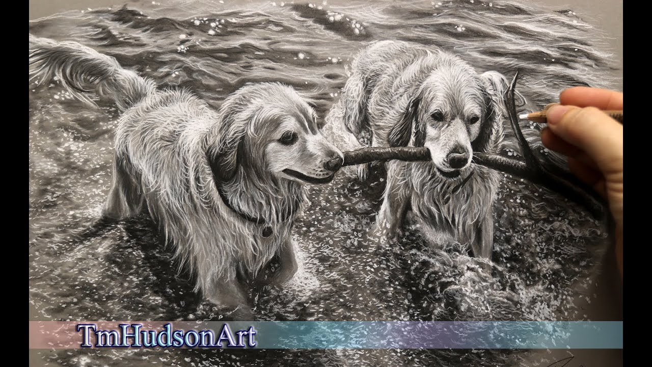 How to draw dogs playing in water - charcoal tutorial - YouTube