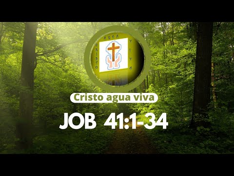 JOB 41:1-34 PALABRA DE DIOS, LIBRO POETICO O DE LA SABIDURIA, ANTIGUO ...