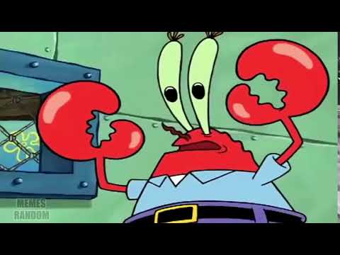 fuimos timados meme - YouTube