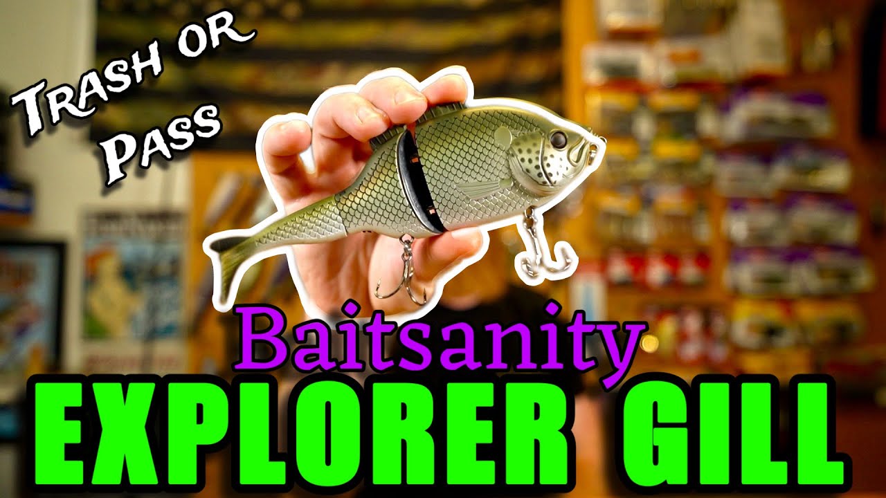 The BAITSANITY Explorer Gill || Trash or Pass - YouTube