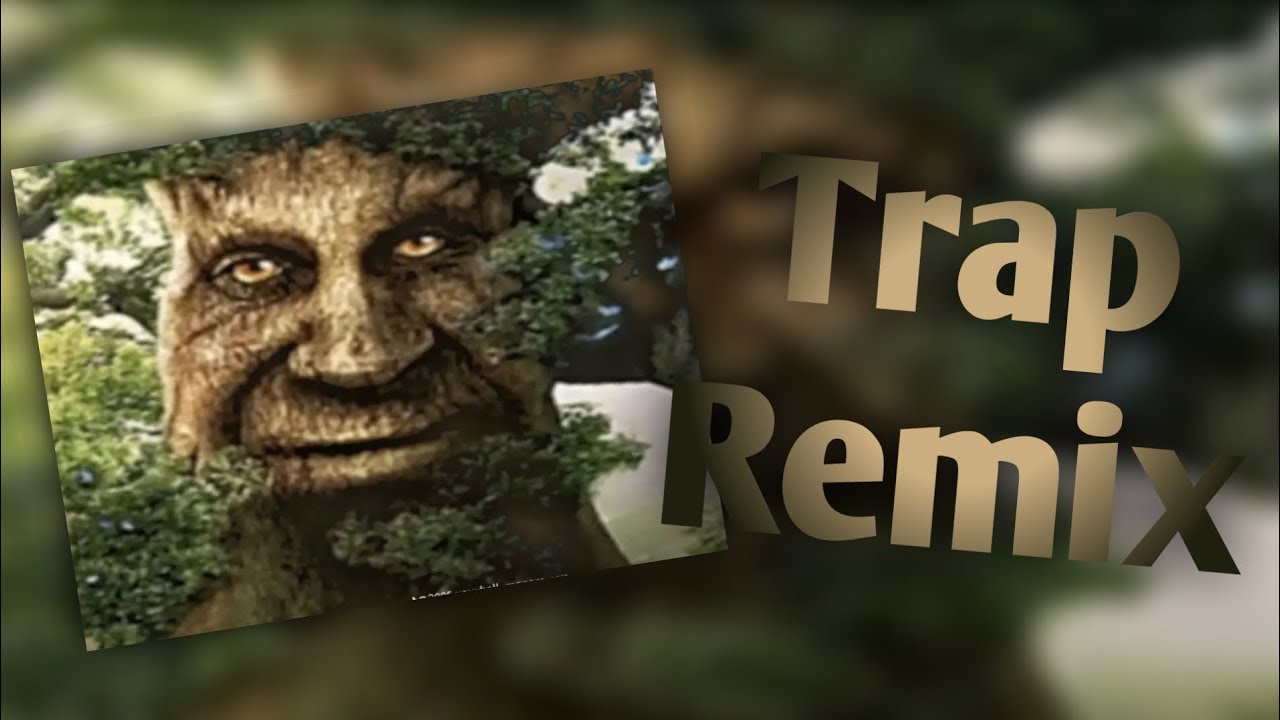 Wise Mystical Trap - YouTube
