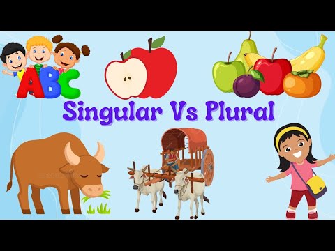 Singular Vs Plural | Singular Object and Plural Objects for Kids| Kids ...