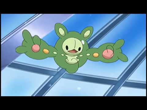 Gen 5 Evolutions - YouTube