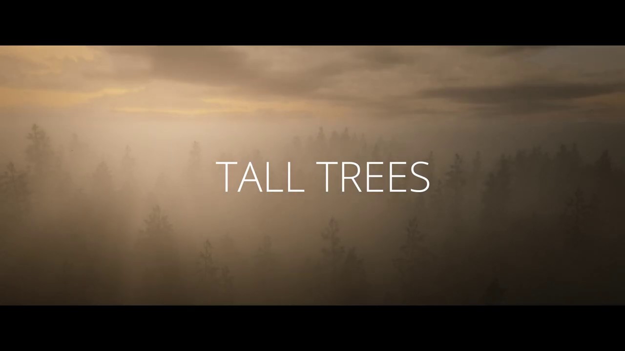 Red Dead Redemption 2: Tall Trees - YouTube