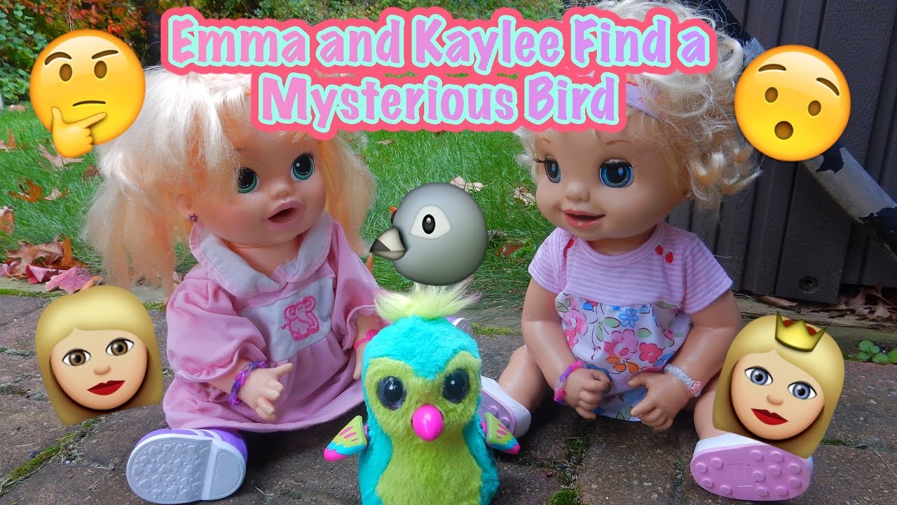 Emma and Kaylee Find a Mysterious Bird - YouTube