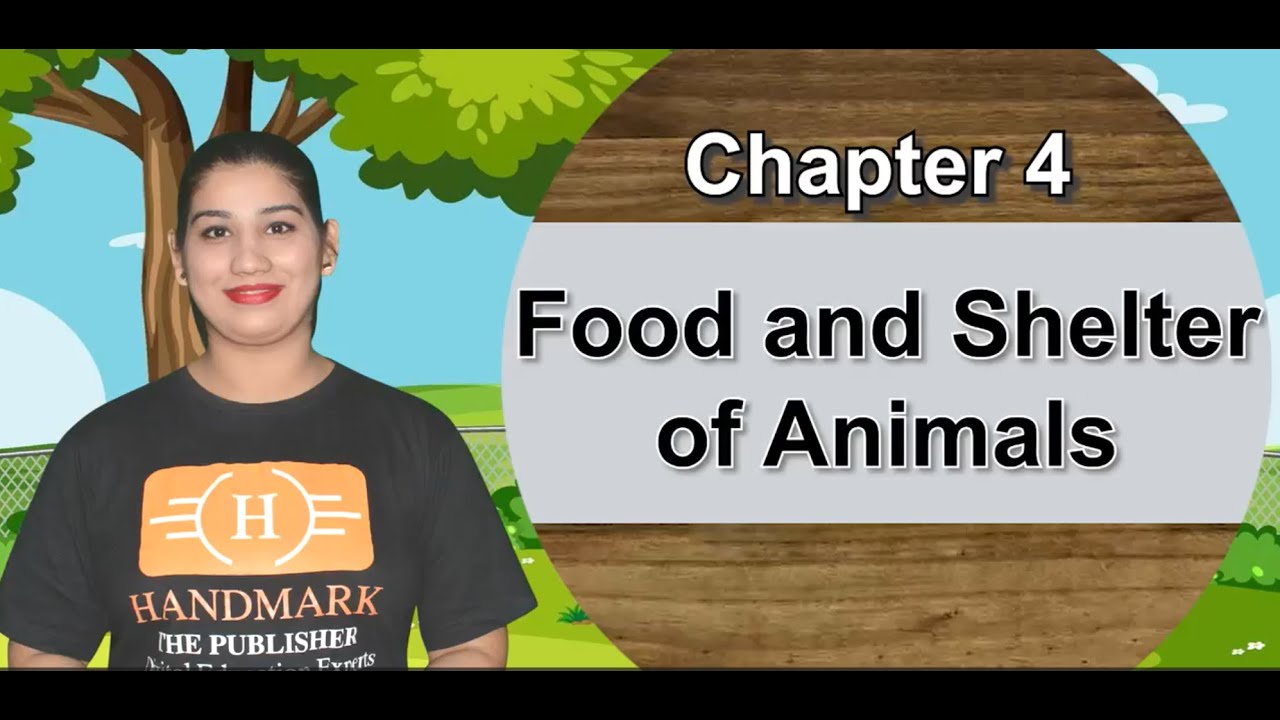 Ch 5 Food And Shelter Of Animals - YouTube