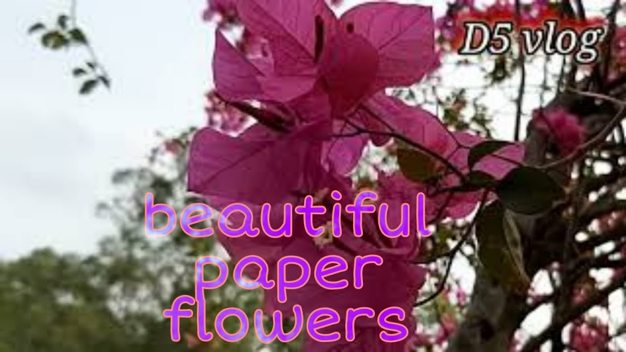 Beautiful Paper Flowers||Real Tree - YouTube
