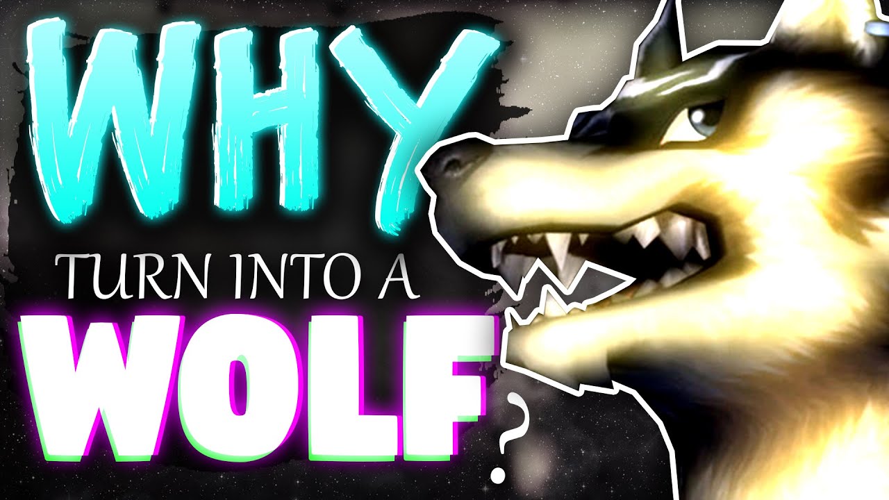 The TRUTH Behind Why Link Turns Into a Wolf! (Zelda: Twilight Princess ...