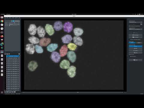 [Napari] Segmentation of cell nuclei with nnInteractive