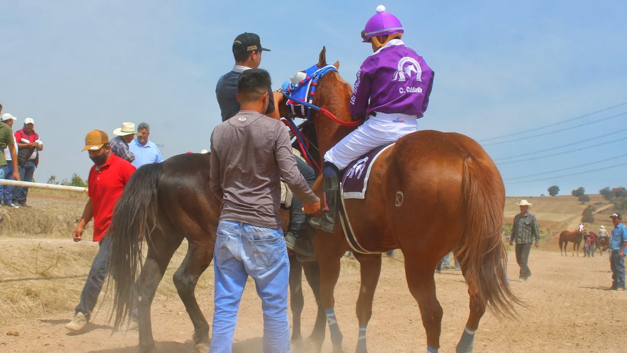 MAZAI VS PITER | CARRIL GUADALUPE VICTORIA HGO| 05-03-23 🏇🏼 ️ - YouTube