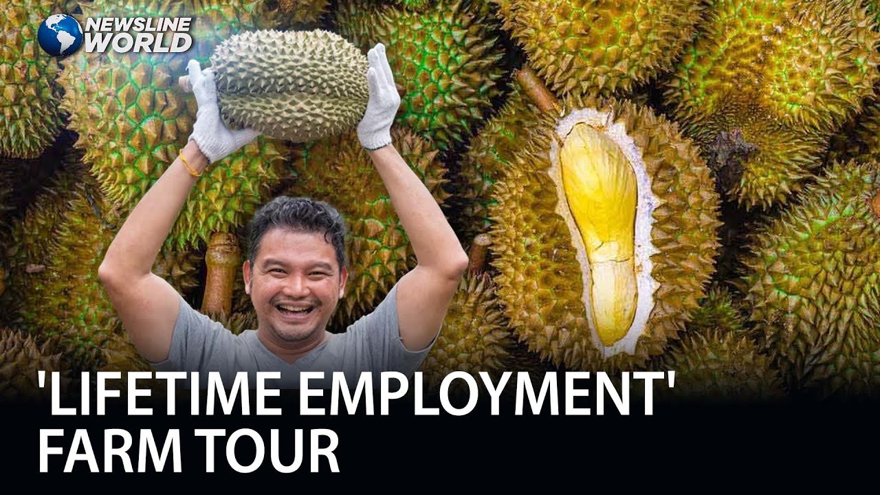 Calinan farm shows durian varieties to South Palawan officials - YouTube