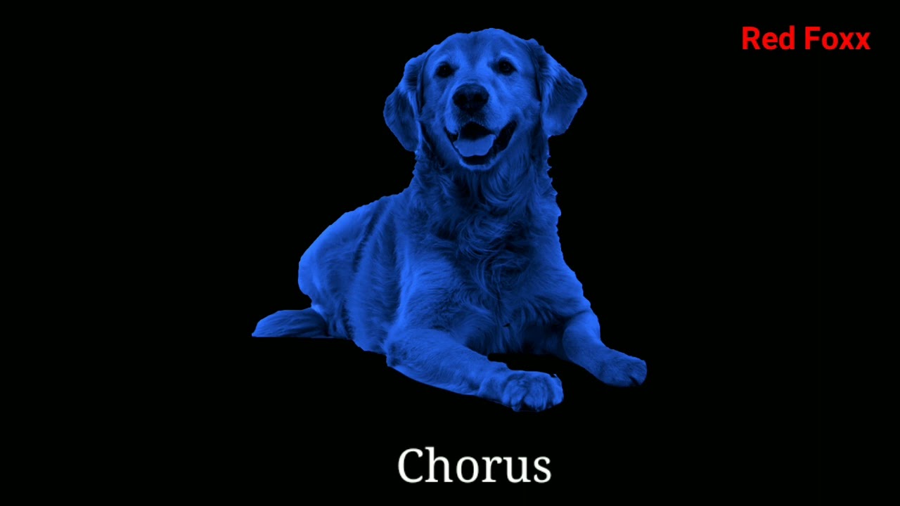 21 various types of dog sound|animal sounds|#animalsound|elephant ...