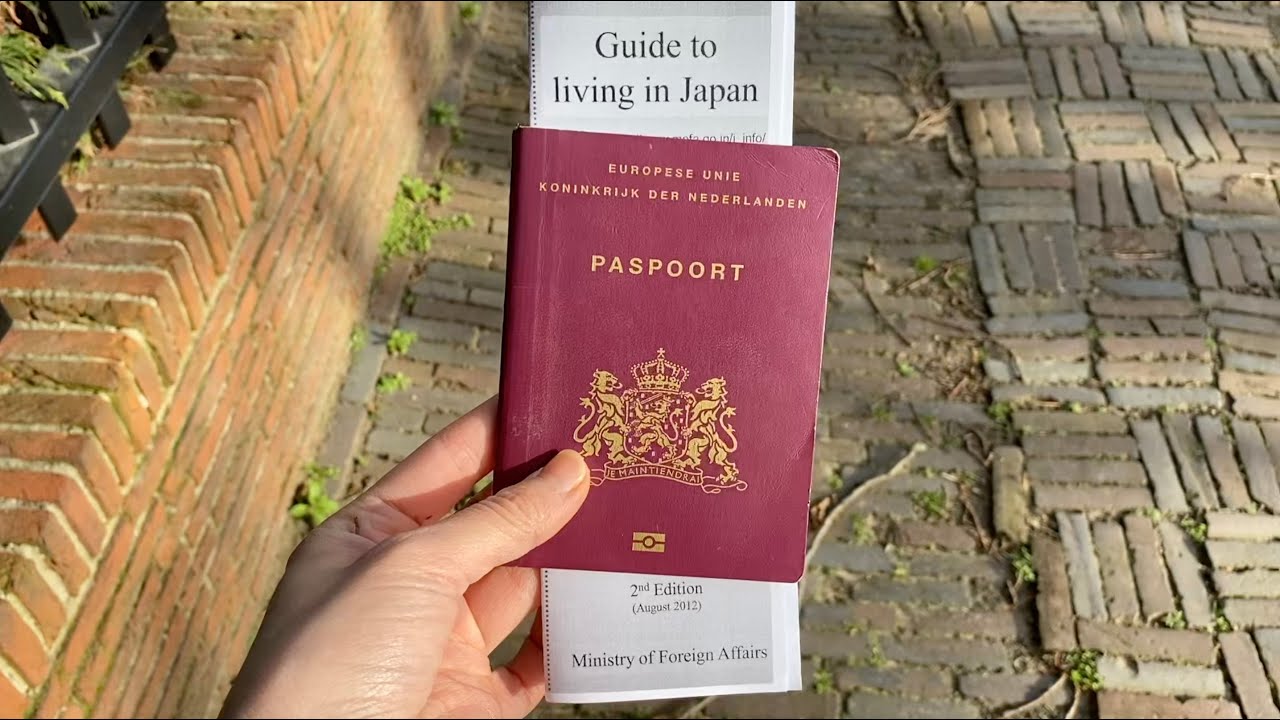 VLOG 11. Goodbye Netherlands… 😭 ️ - YouTube