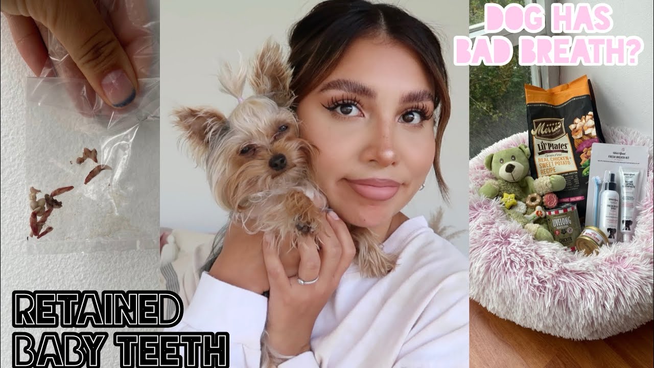 Peppa Got Surgery!! Baby Teeth Extraction 🦷 || Dani Rios - YouTube