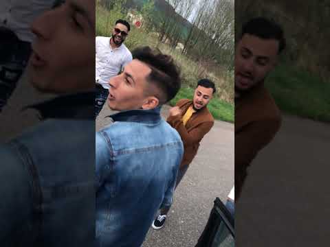 Dans nebun styL vechi