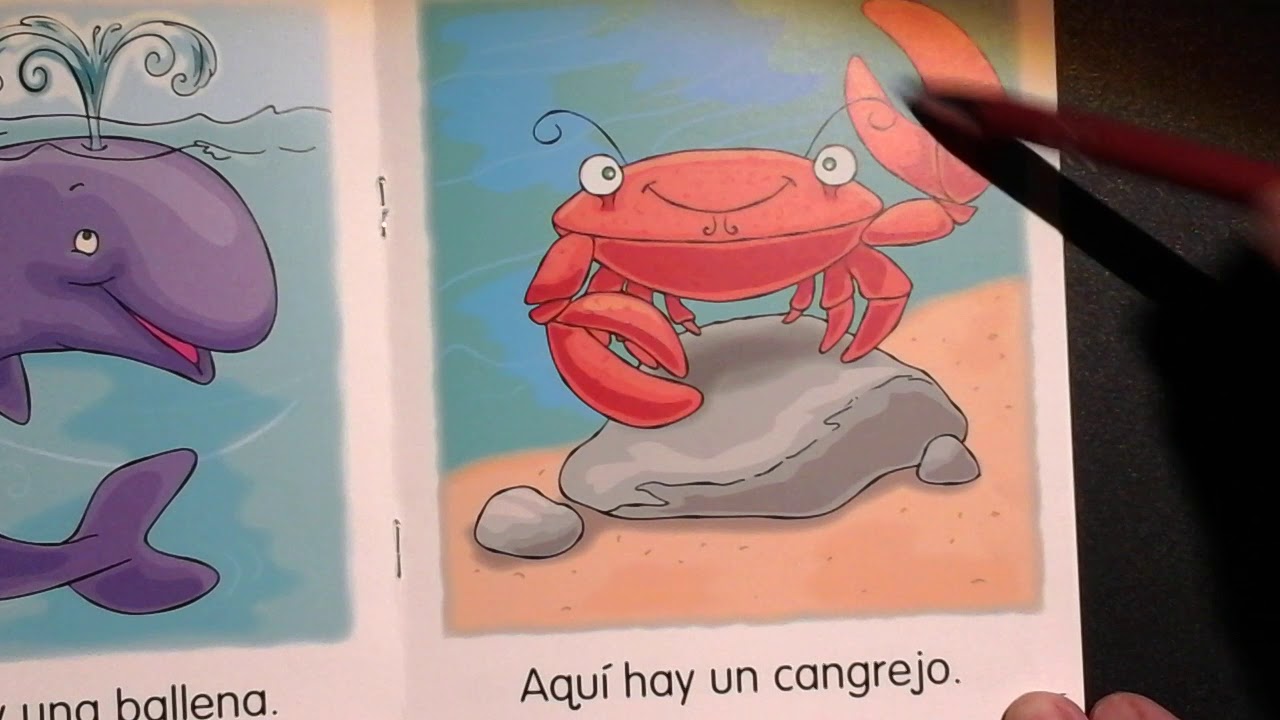 Spanish PK - 3 Mr. Tapia Debajo de las olas mini libro - YouTube