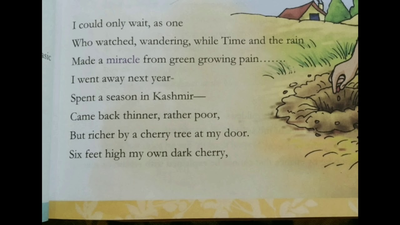 Class 7 ENGLISH 2 Poem THE CHERRY TREE PART 2 YouTube class-7-english-2-poem-the-cherry-tree-part-2-youtube