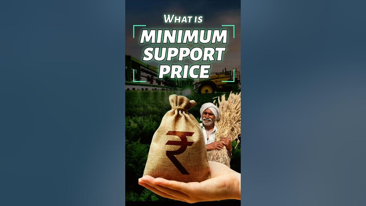 What is Minimum Support Price (MSP)? 🌾🧑‍🌾🤑 | Explained in Tamil #msp #minimumsupportprice #upsc ...