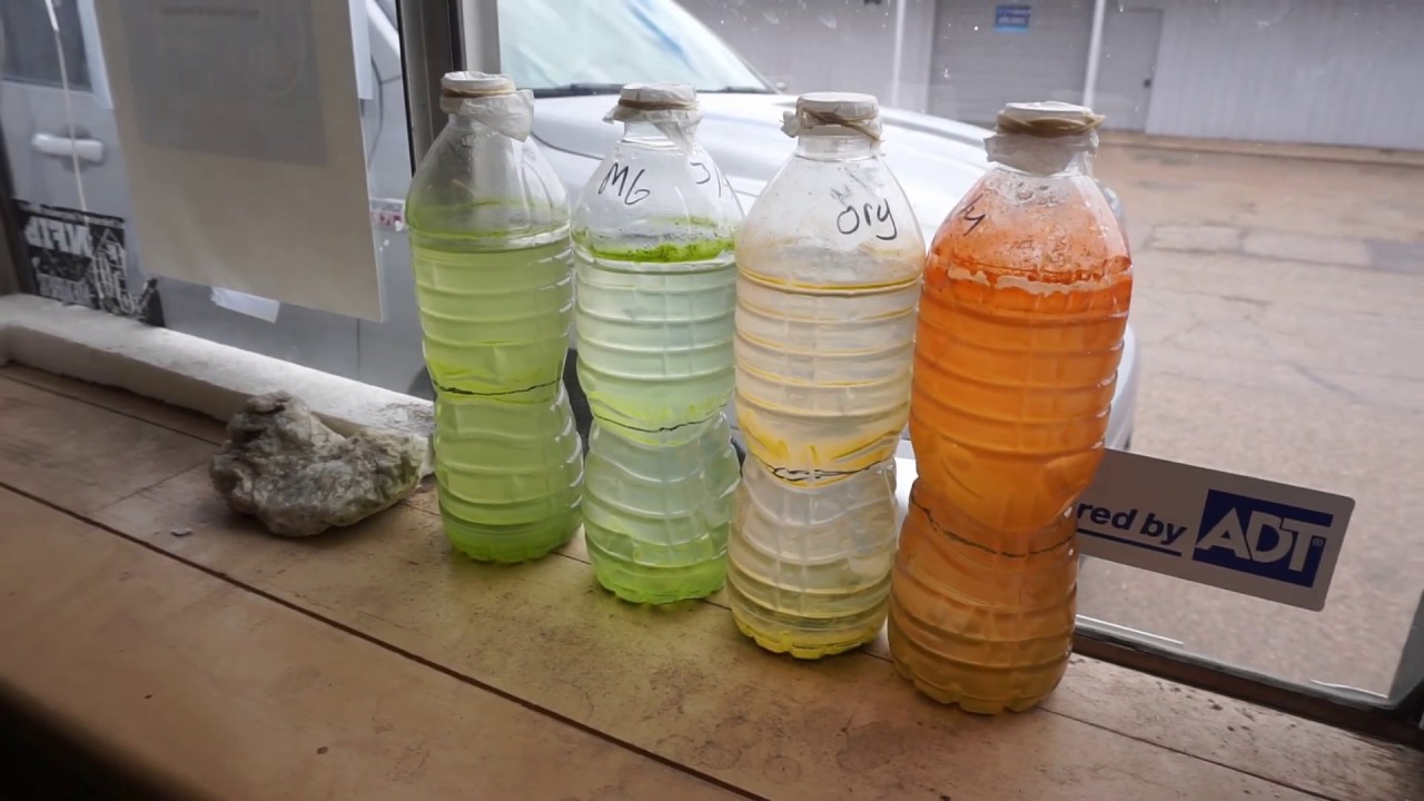 ALGAE Photo-BioReactor: EPISODE 2 - YouTube