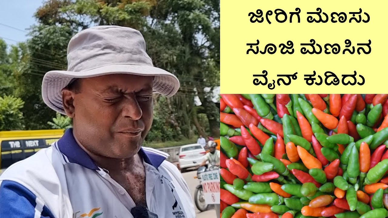 Bird's eye chilli wine ಜೀರಿಗೆ ಮೆಣಸು - ಸೂಜಿ ಮೆಣಸಿನ ವೈನ್ Rajadani spices ...
