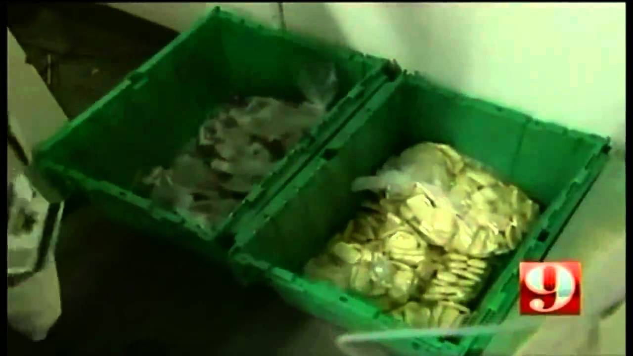 ABC WFTV Orlando: Starwood Hotels partners with Clean the World - YouTube