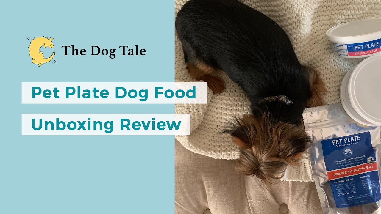 Pet Plate Review Unboxing - YouTube