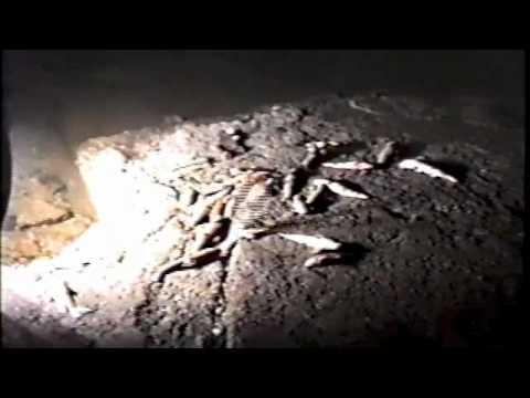 Fish Gigging on the Current River Van Buren, MO, - YouTube